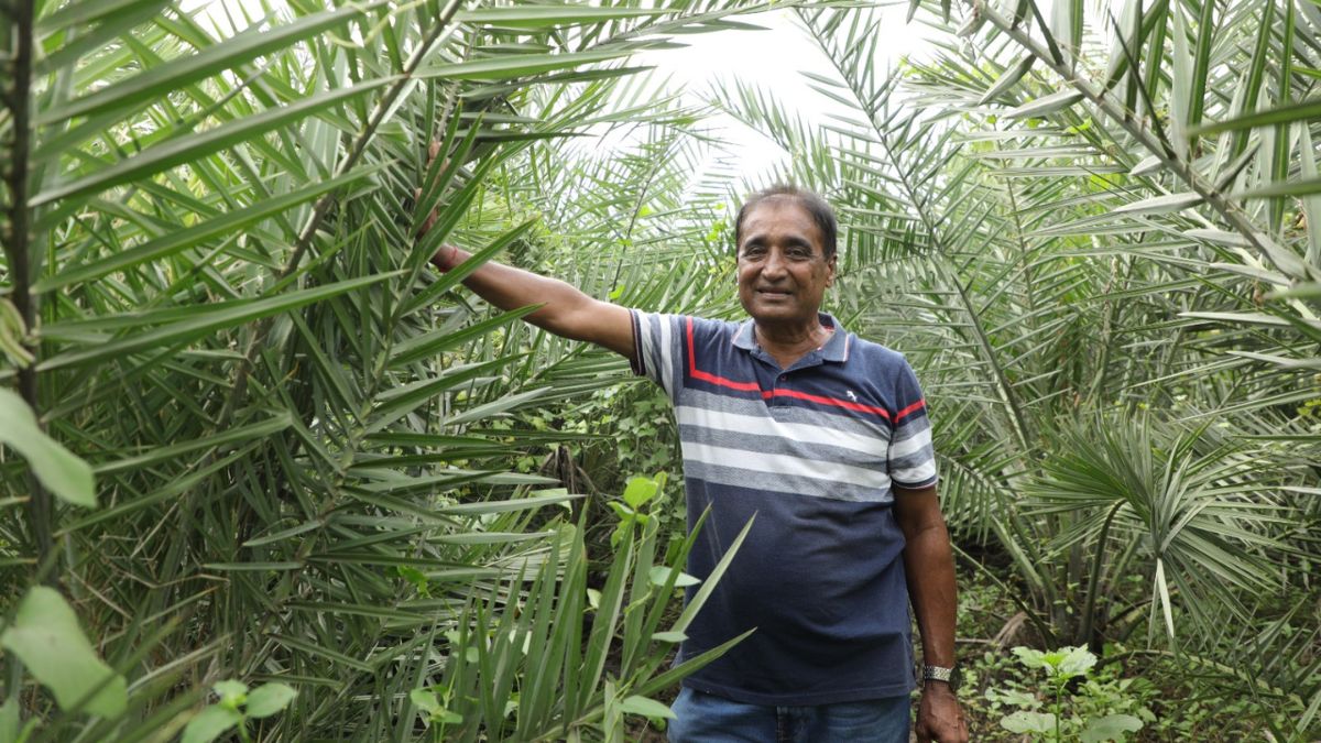 Surat farmer to export 3k liters of Neera daily by 2026 - The Blunt Times